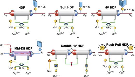 Extracorporeal Techniques in Kidney Failure | Blood Purification ...