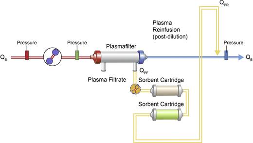Nomenclature of Extracorporeal Blood Purification Therapies for Acute ...