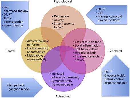Post Stroke Pain: Identification, Assessment, and Therapy ...