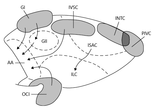 Isolated Insular Stroke: Clinical Presentation | Cerebrovascular ...