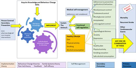 Interventions for Behaviour Change and Self-Management of Risk in ...