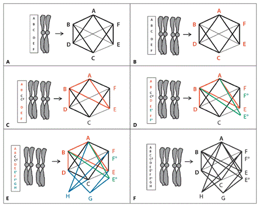 Polyploidy in Animals: Effects of Gene Expression on Sex Determination ...