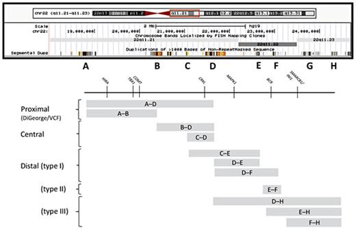 22q11.21 Deletion Syndromes: A Review of Proximal, Central, and Distal ...