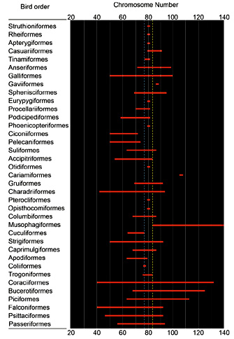 Introducing the Bird Chromosome Database: An Overview of Cytogenetic ...