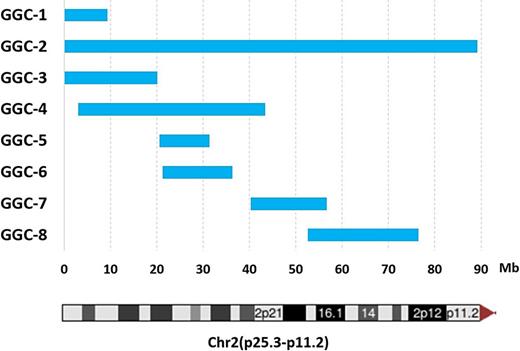 Large Chromosome 2p Duplication-Associated Mechanisms and Clinical ...