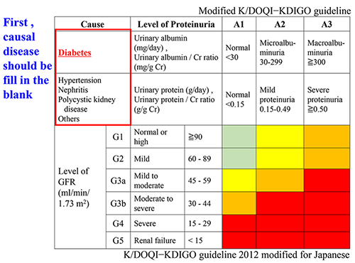 Importance of AST-120 (Kremezin®) Adherence in a Chronic Kidney Disease ...