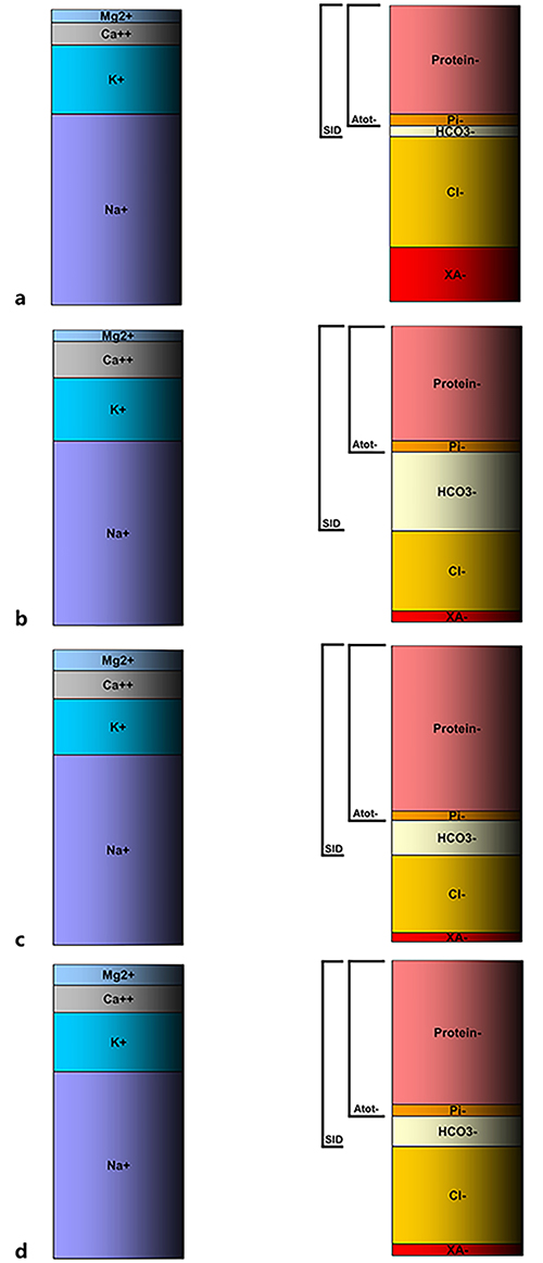 A Rare Case of Severe Metabolic Alkalosis with Unusual Hyperproteinemia ...