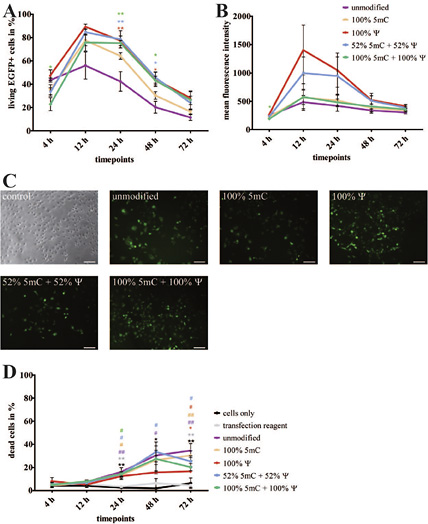Defining Optimized Properties of Modified mRNA to Enhance Virus- and ...