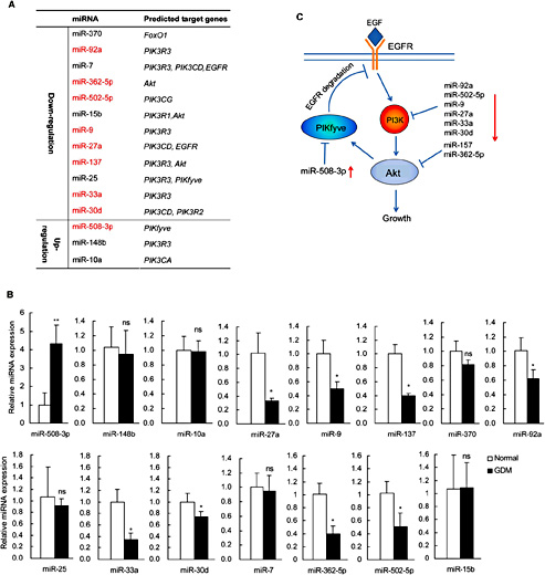 A MicroRNA Signature in Gestational Diabetes Mellitus Associated with ...