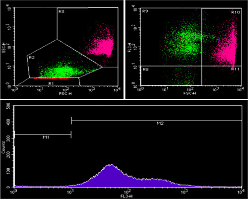 Characterization of Microvesicles Released from Human Red Blood Cells ...