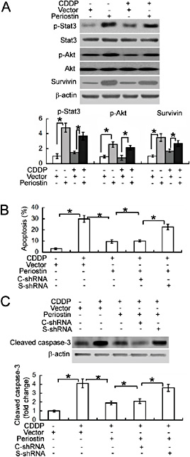 Periostin Contributes to Cisplatin Resistance in Human Non-Small Cell ...