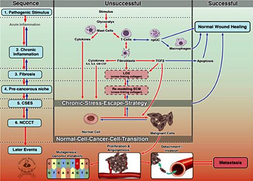 Somatic Mutation Theory - Why it's Wrong for Most Cancers | Cellular ...