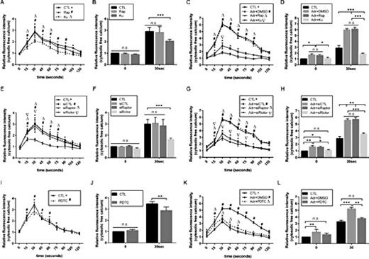 The mTORC2/Akt/NFκB Pathway-Mediated Activation of TRPC6 Participates ...