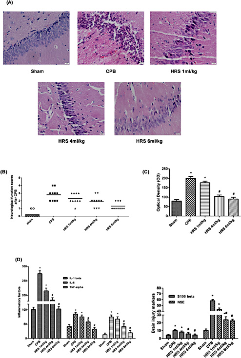Hydrogen-Rich Saline Attenuates Brain Injury Induced by Cardiopulmonary ...