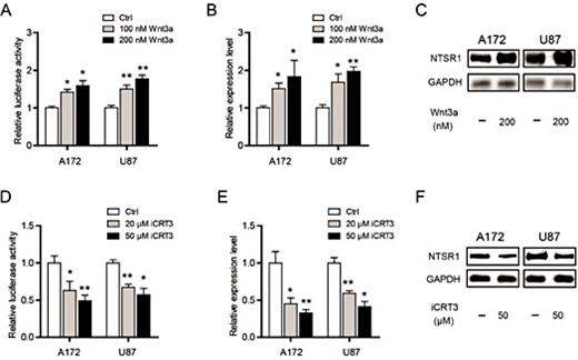 A Novel Positive Feedback Loop Between NTSR1 and Wnt/β-Catenin ...