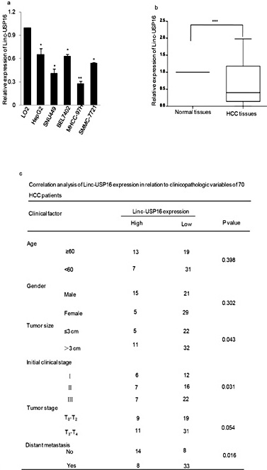Long Non-Coding RNA Linc-USP16 Functions As a Tumour Suppressor in ...