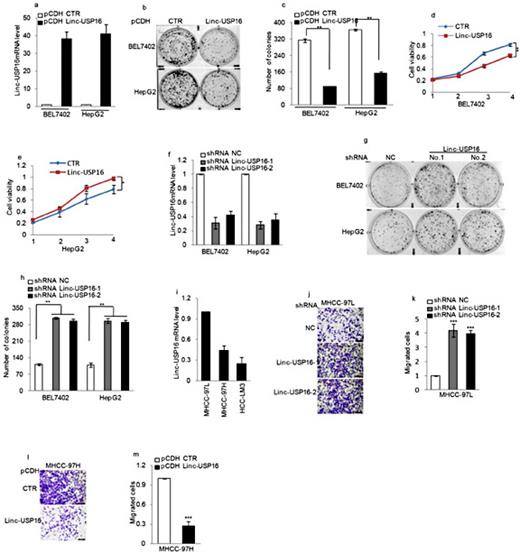 Long Non-Coding RNA Linc-USP16 Functions As a Tumour Suppressor in ...