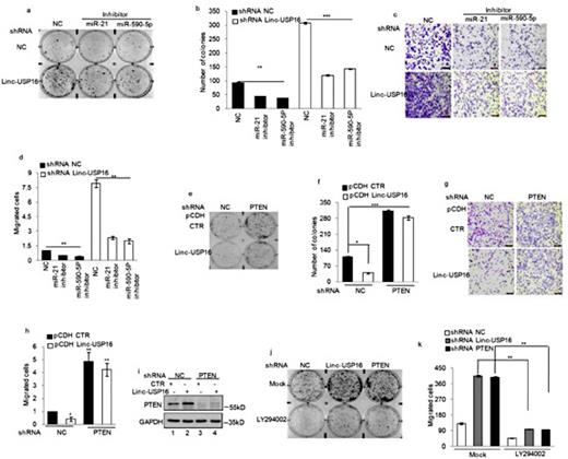Long Non-Coding RNA Linc-USP16 Functions As a Tumour Suppressor in ...