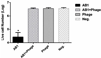 Phage Abp1 Rescues Human Cells and Mice from Infection by Pan-Drug ...