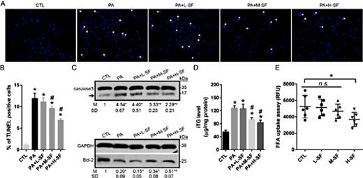 ShenFu Preparation Protects AML12 Cells Against Palmitic Acid-Induced ...