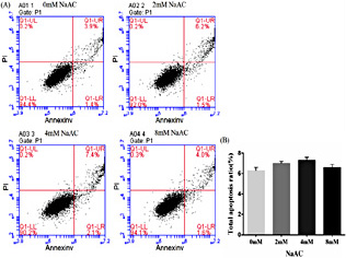 Acetic Acid Influences BRL-3A Cell Lipid Metabolism via the AMPK ...