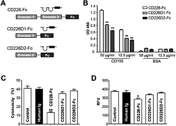 Blocking CD226 Promotes Allogeneic Transplant Immune Tolerance and ...