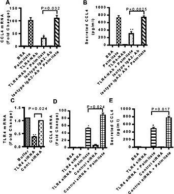 Palmitate Activates CCL4 Expression in Human Monocytic Cells via TLR4 ...