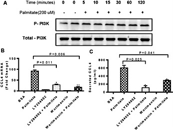 Palmitate Activates CCL4 Expression in Human Monocytic Cells via TLR4 ...