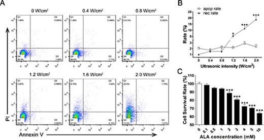5-Aminolevulinic Acid-Mediated Sonodynamic Therapy Alleviates ...