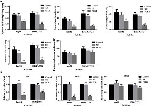 Overexpression of PCK1 Gene Antagonizes Hepatocellular Carcinoma ...