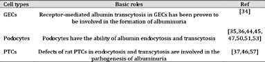 A New Pathogenesis of Albuminuria: Role of Transcytosis | Cellular ...