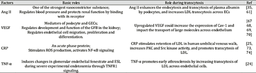 A New Pathogenesis of Albuminuria: Role of Transcytosis | Cellular ...