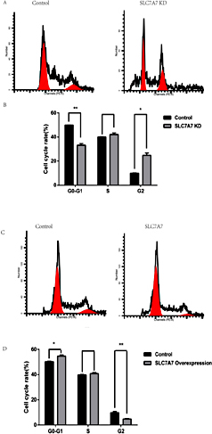 Function of SLC7A7 in T-Cell Acute Lymphoblastic Leukemia | Cellular ...