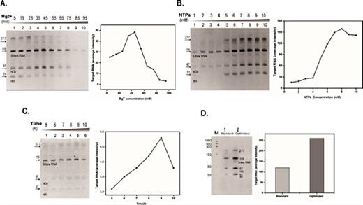 Large-Scale in Vitro Transcription, RNA Purification and Chemical ...