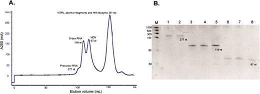 Large-Scale in Vitro Transcription, RNA Purification and Chemical ...