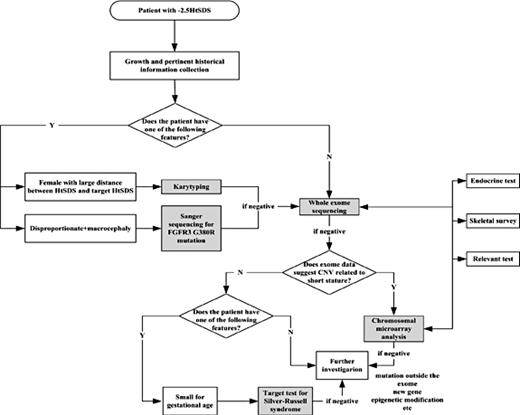 Genetic Evaluation of 114 Chinese Short Stature Children in the Next ...