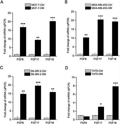 FGF18 Enhances Migration and the Epithelial-Mesenchymal Transition in Breast Cancer by ...