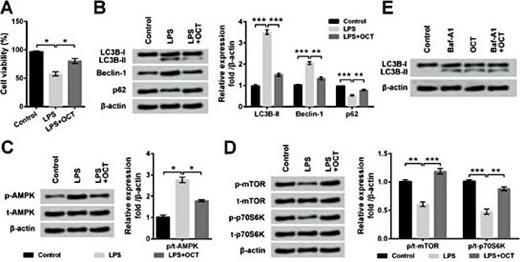 Octreotide Alleviates Autophagy by Up-Regulation of MicroRNA-101 in ...