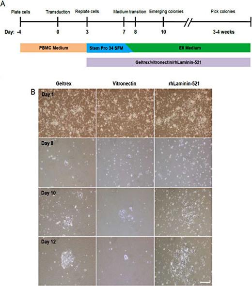Efficient Generation of Non-Integration and Feeder-Free Induced ...