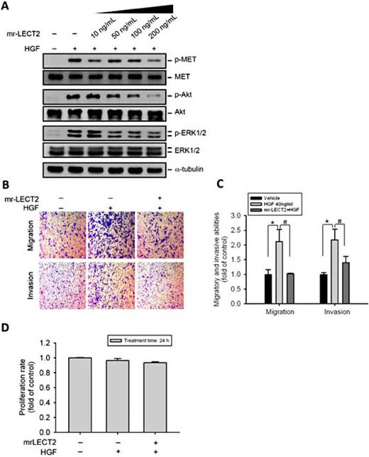 Leukocyte Cell-Derived Chemotaxin 2 Retards Non-Small Cell Lung Cancer ...