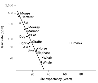 Heart Rate, Life Expectancy and the Cardiovascular System: Therapeutic ...