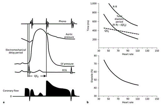 Heart Rate, Life Expectancy and the Cardiovascular System: Therapeutic ...