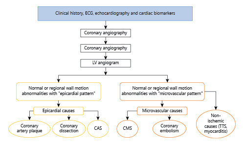 Myocardial Infarction with Nonobstructive Coronary Arteries (MINOCA): A ...
