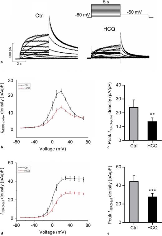 Hydroxychloroquine Attenuates hERG Channel by Promoting the Membrane ...
