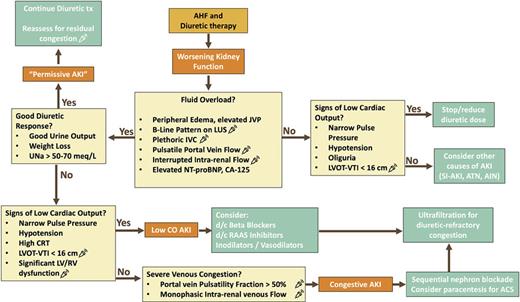 Bedside Ultrasound in the Management of Cardiorenal Syndromes: An ...