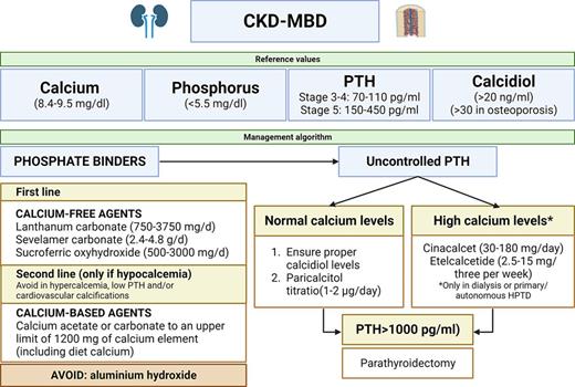 Practical Approaches to the Management of Cardiorenal Disease beyond ...