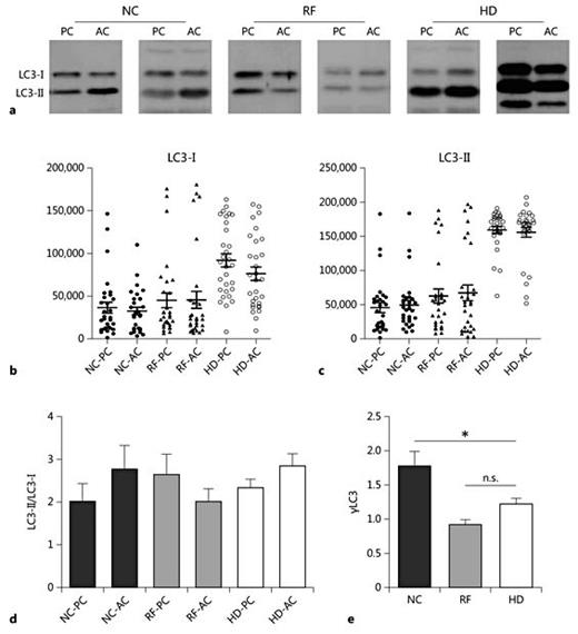 Impaired Leukocytes Autophagy in Chronic Kidney Disease Patients ...