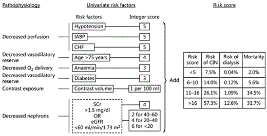 Contrast Medium-Induced Acute Kidney Injury | Cardiorenal Medicine ...