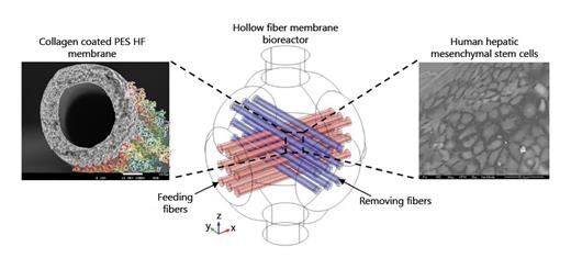 Hollow Fiber and Nanofiber Membranes in Bioartificial Liver and ...