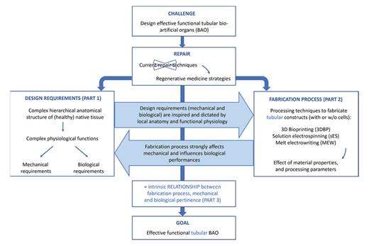 Tubular Bioartificial Organs: From Physiological Requirements to ...